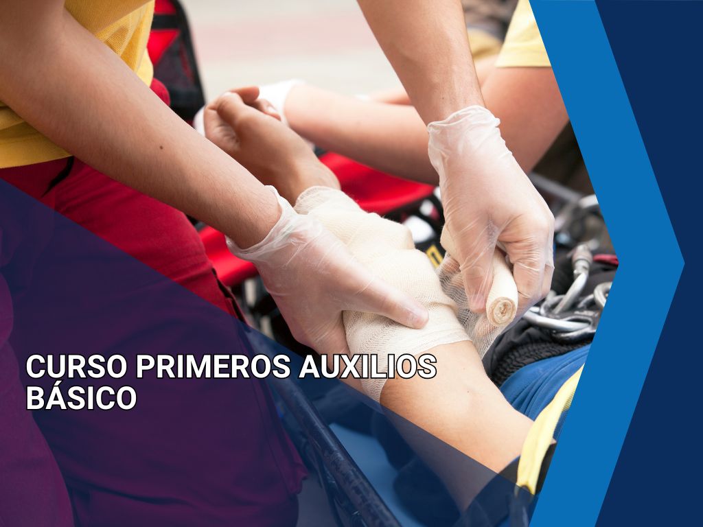 Curso Primeros Auxilios Básico - Otec FyD